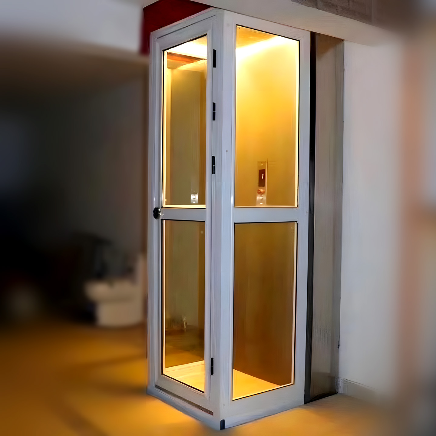 Domestic Lifts for Houses KL | Outdoor & Indoor House Lift